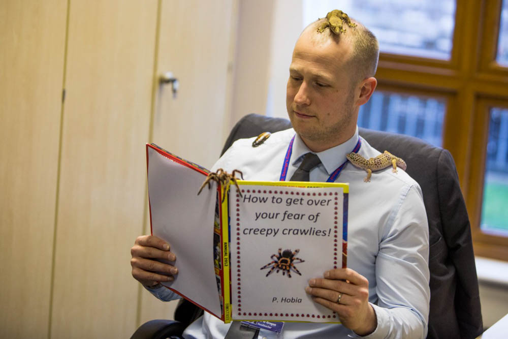 St Georges Central C.E. Primary School - Headteacher - Mr M. Grogan